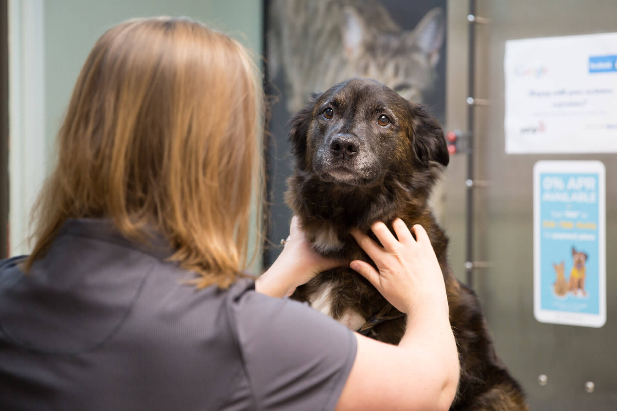 Pet Behaviorist - Heritage Pet Hospital